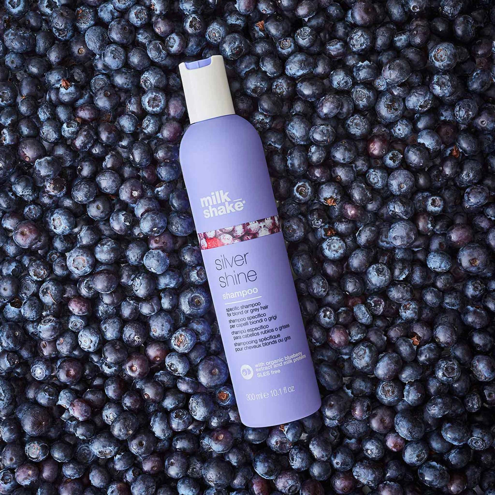 Milkshake Haircare Range | Milkshake Collection - retailbox.co.za